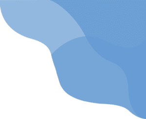 Services – Neat Roots